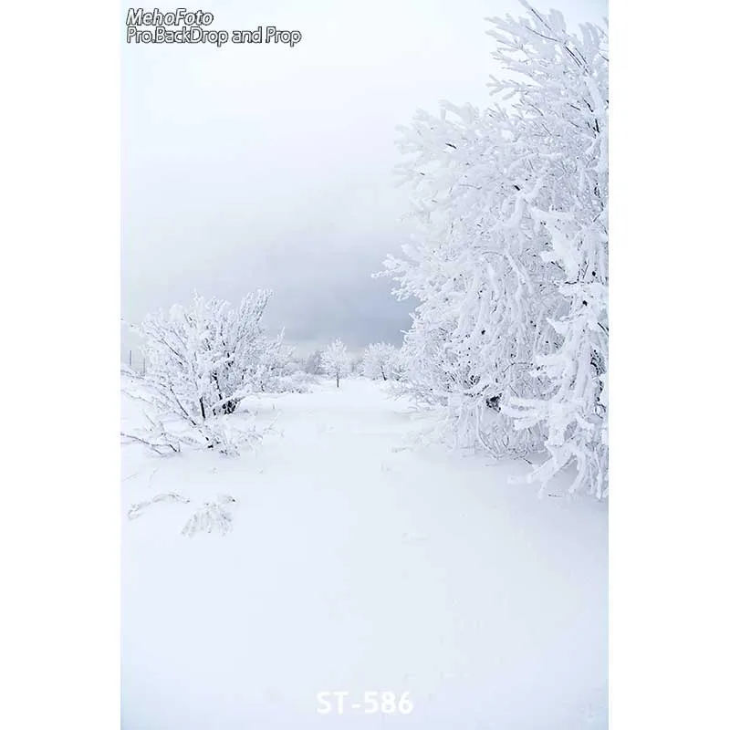 Camera fotografia photo background snow scenery photography backdrops ...