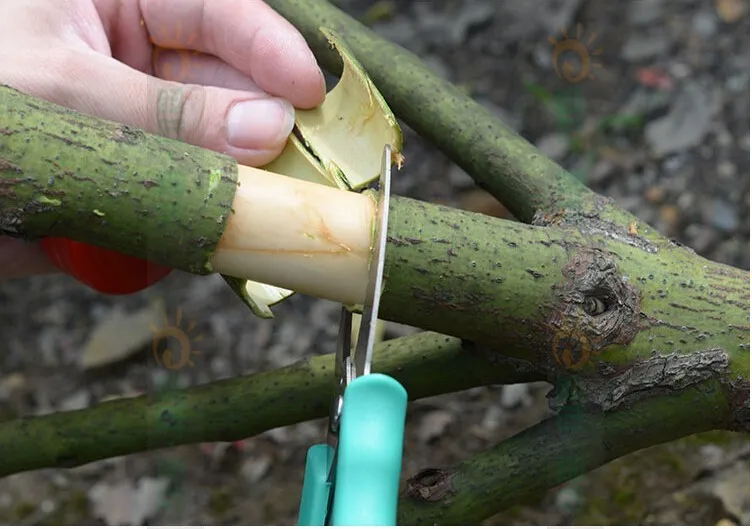 Sécateur à Crémaillère,Coupe-anneaux ciseaux couteau à fileter,couteau ...