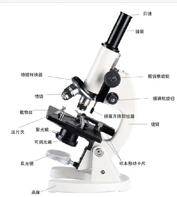 Professional biological microscope student 640 times 1600 animal ...