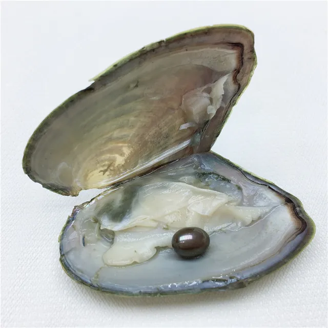 Natural Pearl Freshwater Cultured Pearl Oyster With 7mm Oval 12 Color