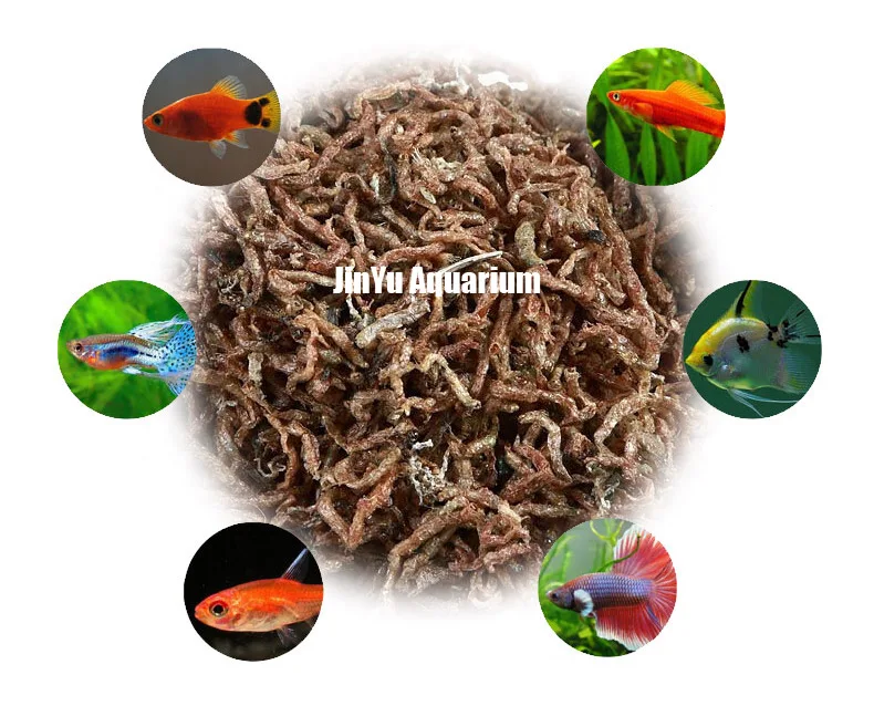 Betta Fish Food Worms