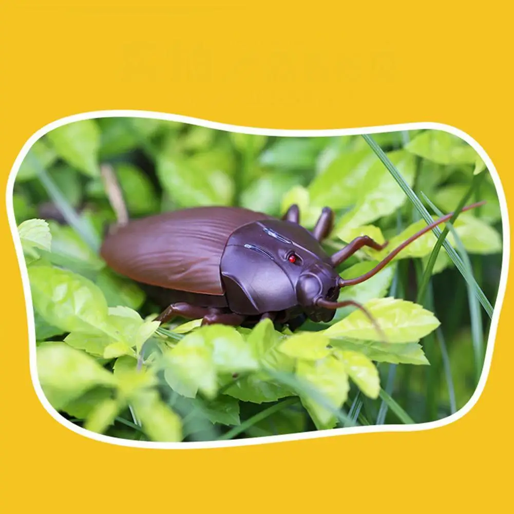 Infrared Remote Control Cockroach RC Toy Mock Realistic Fake Cockroach ...