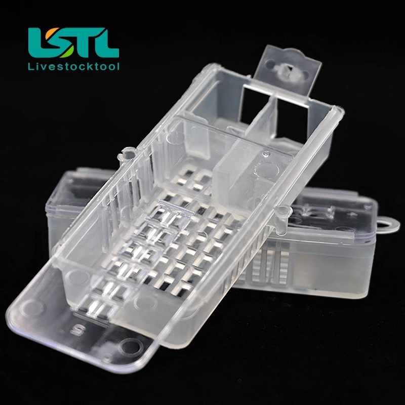 30 Pcs Beekeeping Queen Bee Cages Bee Transport Cage Queen Beekeeping ...