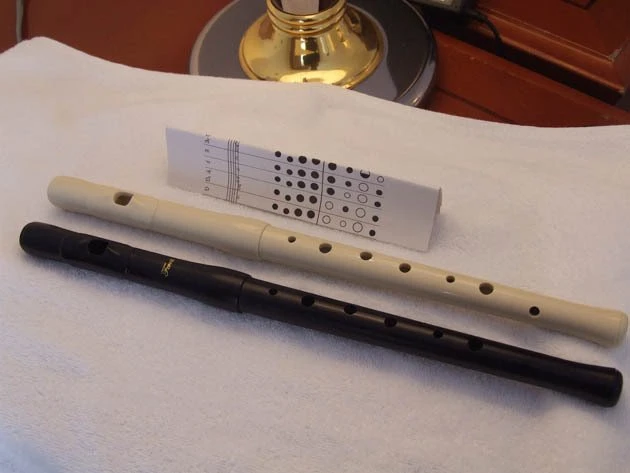 Yamaha YRF21II Fife | ubicaciondepersonas.cdmx.gob.mx