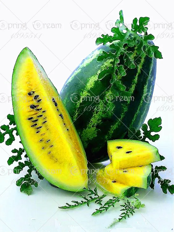 Online Buy Wholesale super melons from China super melons Wholesalers ...