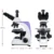 1000x 2500x Professional Biological Lab Hd Microscope Trinocular ...