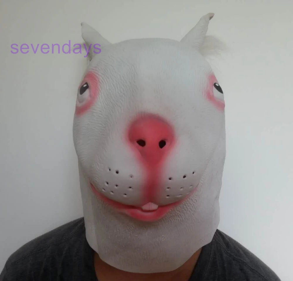 Rabbit Face Mask