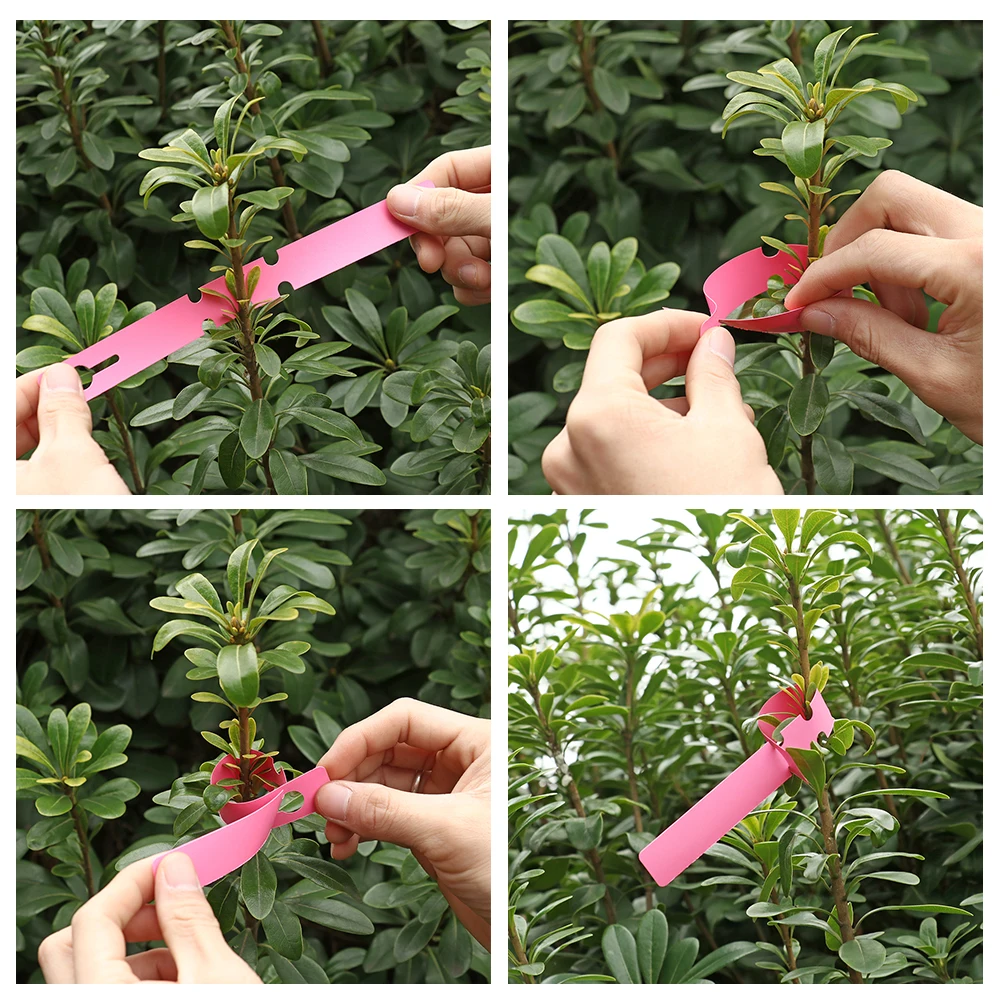 30Pcs Gardening Garden Hang Tag Label Hanging Tree Seedling Plant Fruit ...