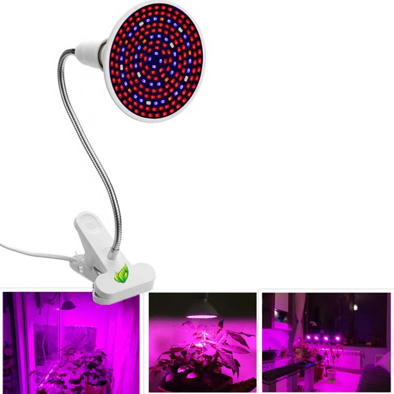 Seven-Neon-Holder-clip-with-E27-200LED-SMD5730-150Red-36Blue-7W-7WW ...