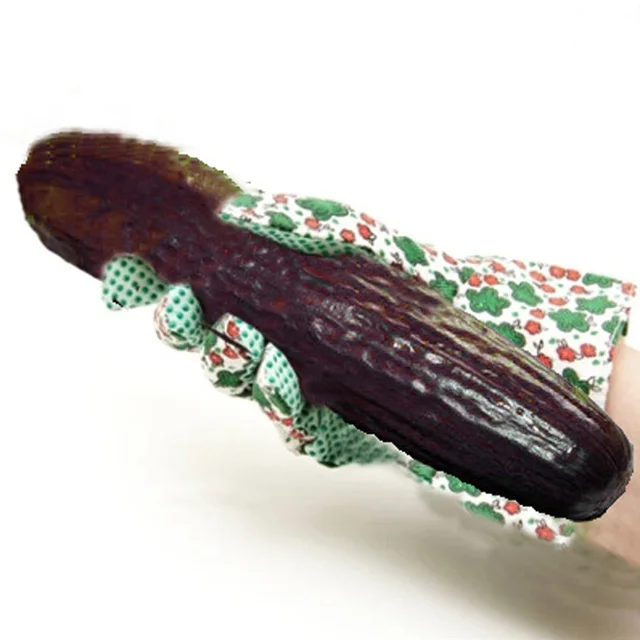 100 pcs Seeds Rare Black Cucumber – GreenSeedGarden