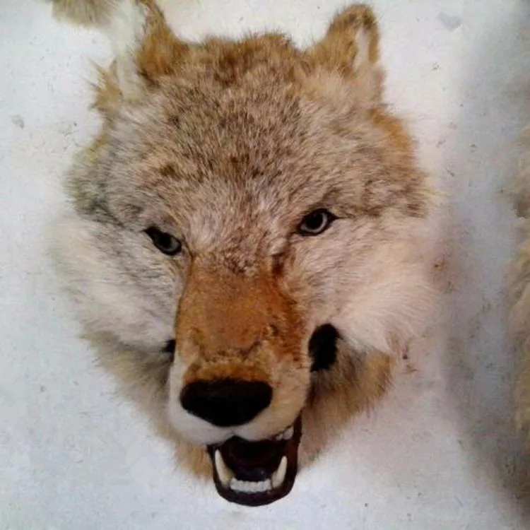 Zilin Manufacturer Vivid Wolf Head , Simulation Wolf Head 1:1 ...