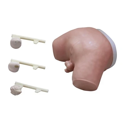 Prostate Exam Simulator