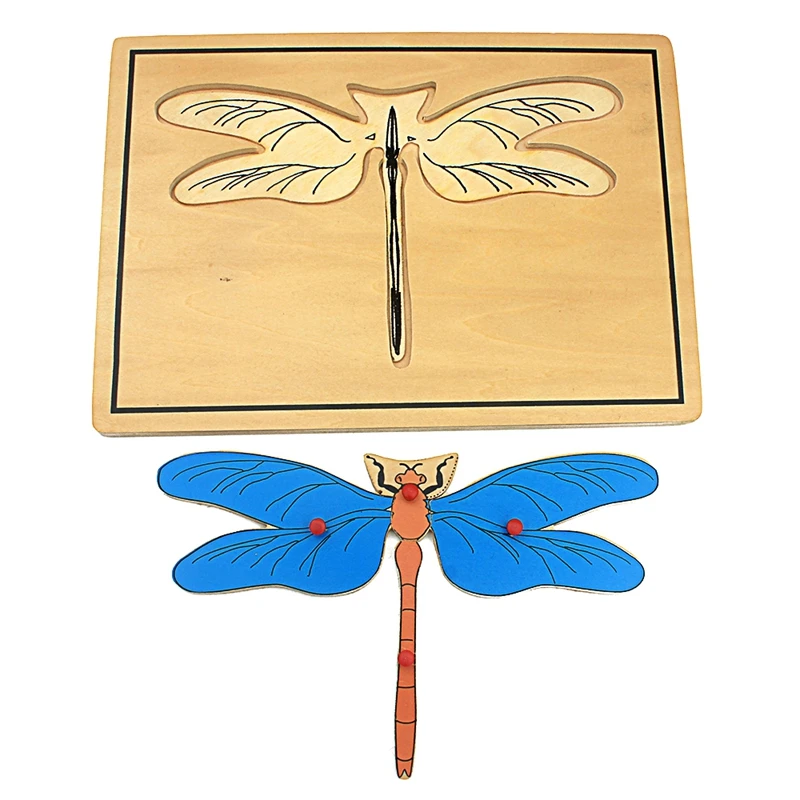 preschool Turtle Puzzle with SKELETON NEW Montessori Zoology Material ...