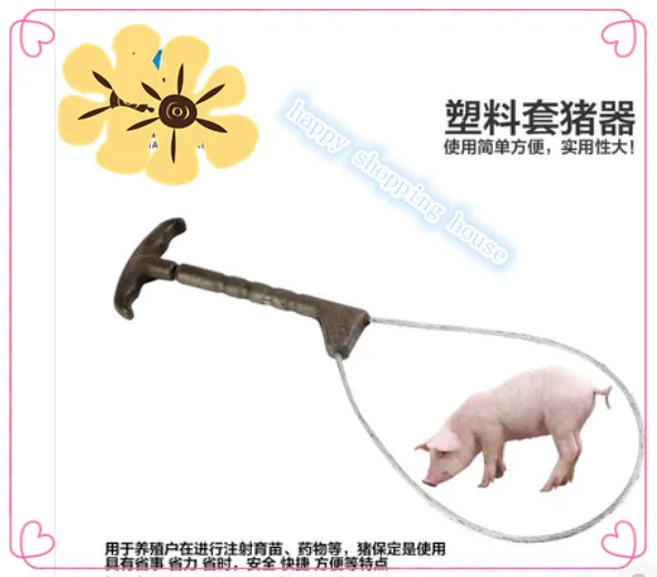 Farm-Animals-product-A-simple-set-of-ordinary-pig-pig-is-set-for ...