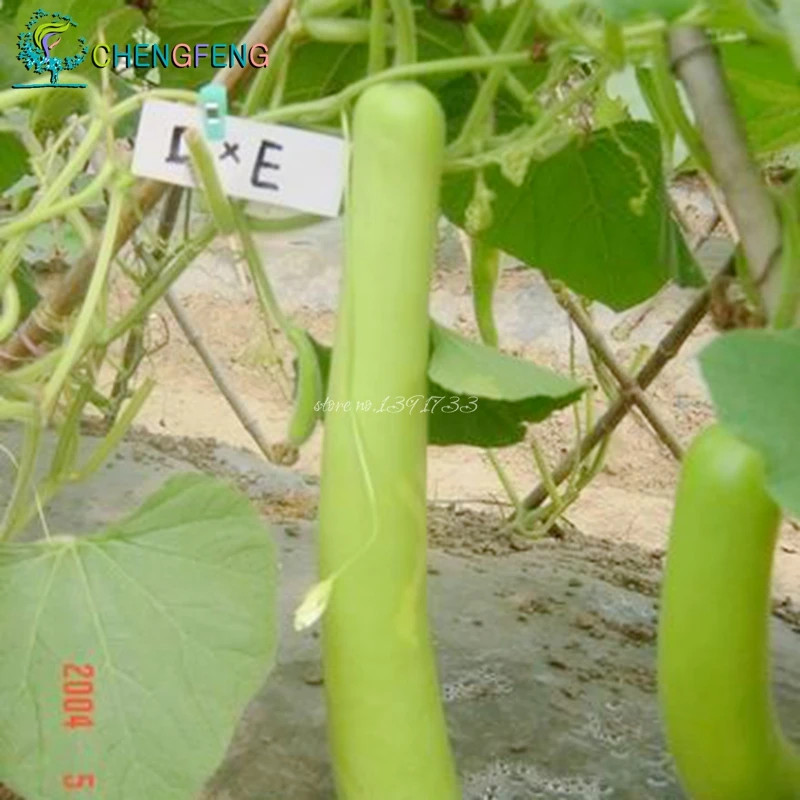 Online Buy Wholesale calabash gourd from China calabash gourd ...