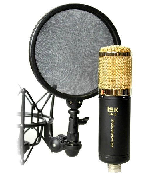 Gold Recording Studio Microphone