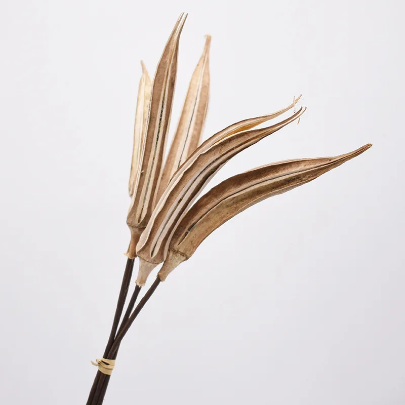Dried Okra Crafts