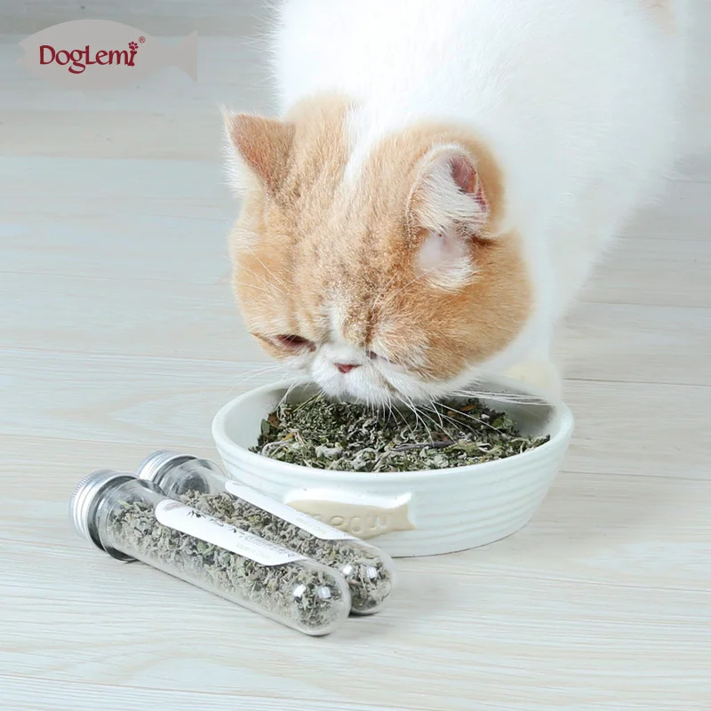 Fresh Cat Catnip Organic catnip cat toy Nature Bottle Catnip chew stick ... Fresh Cat Catnip Organic catnip cat toy Nature Bottle Catnip chew stick ...