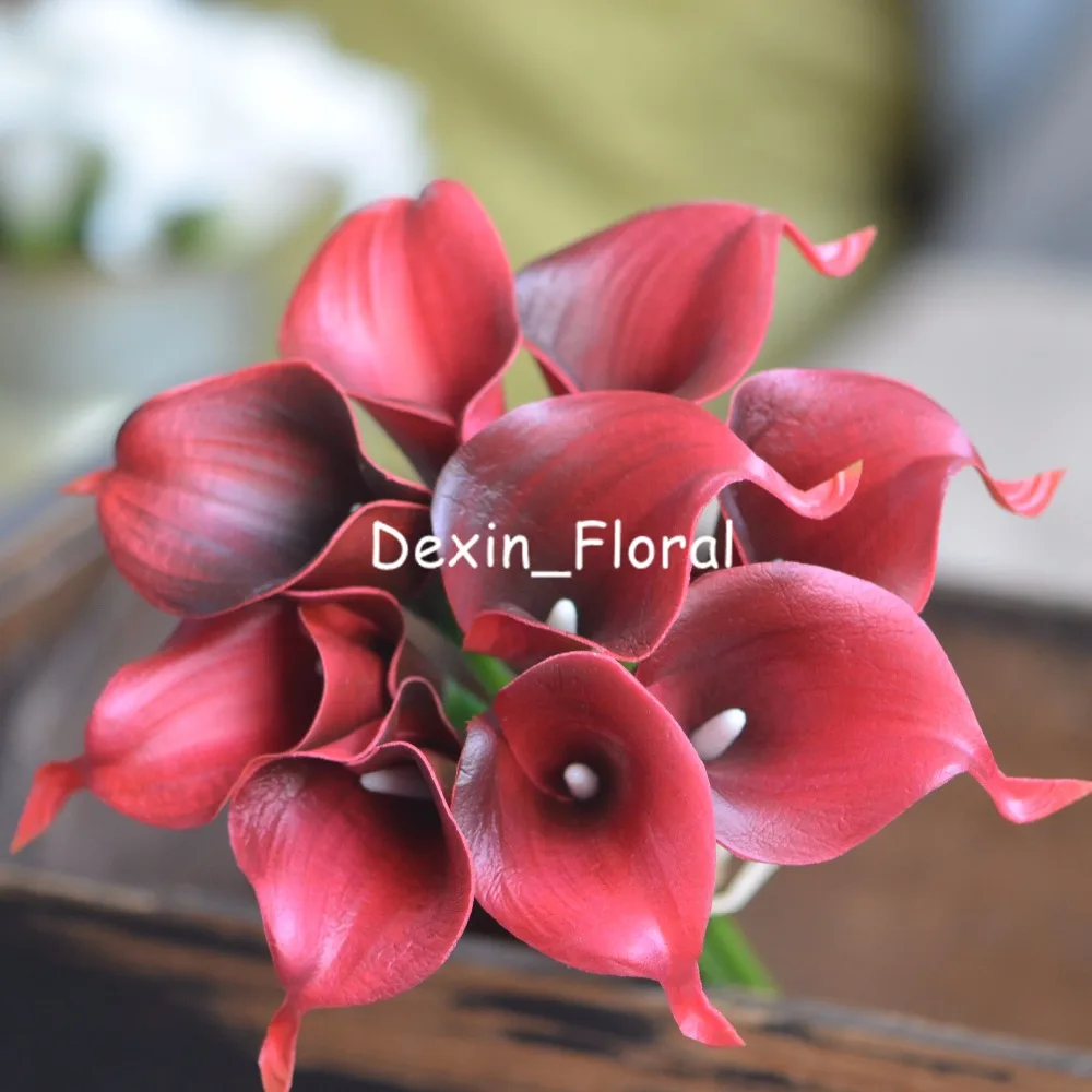 Red Calla Lily Flower