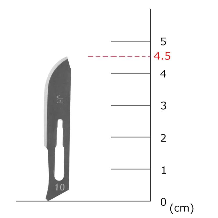 #10 Scalpel Blades - Surgical Carbon Steel Blades, Set of 10 - Scalpel ...