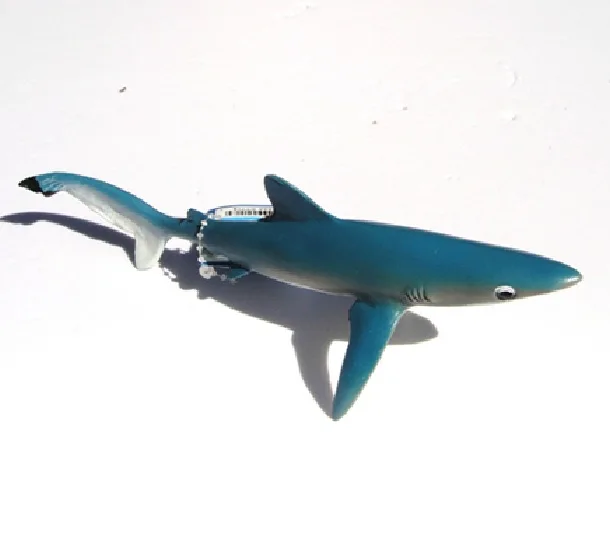 Blue Shark Model Marine Biological Model Toy Simulation Animal Model ...