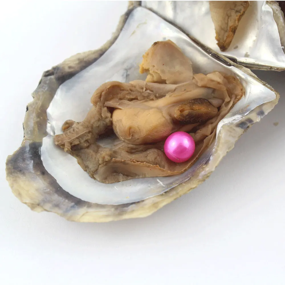 New 6 7MM Hot Pink Color Pearl Oysters Natural Akoya Oyster Skittle ...