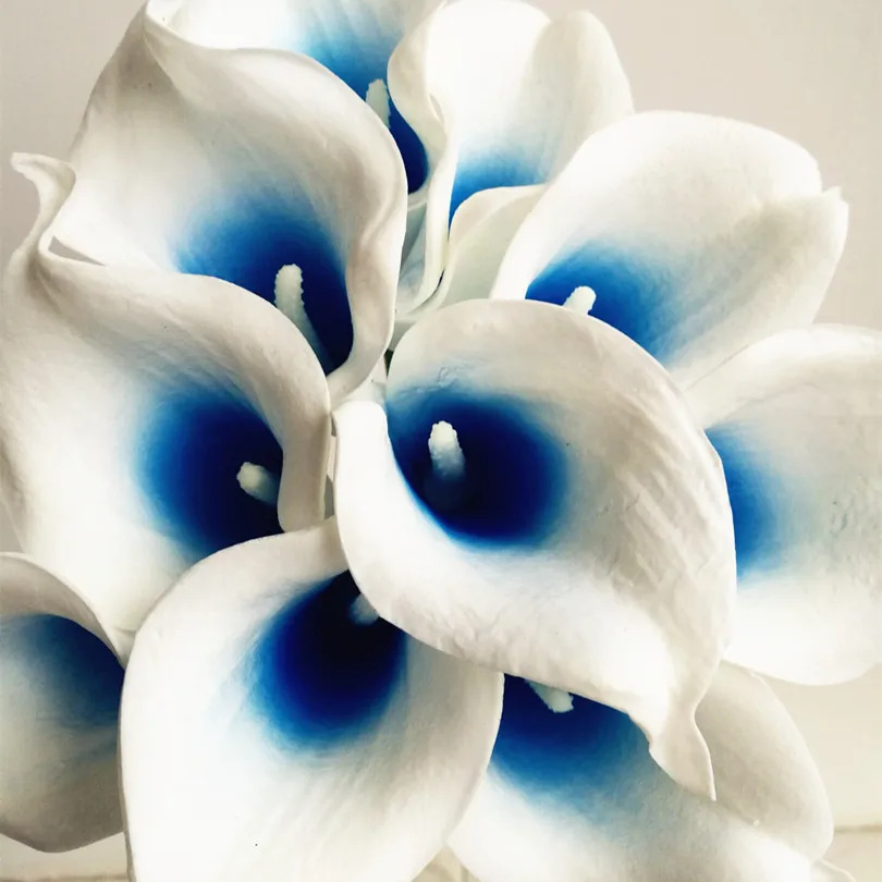 Online Buy Wholesale blue calla lilies from China blue calla lilies ...