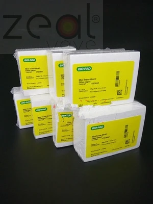 For Biorad Bole Small Vertical Electrophoresis Thin Glass Plate Short ...