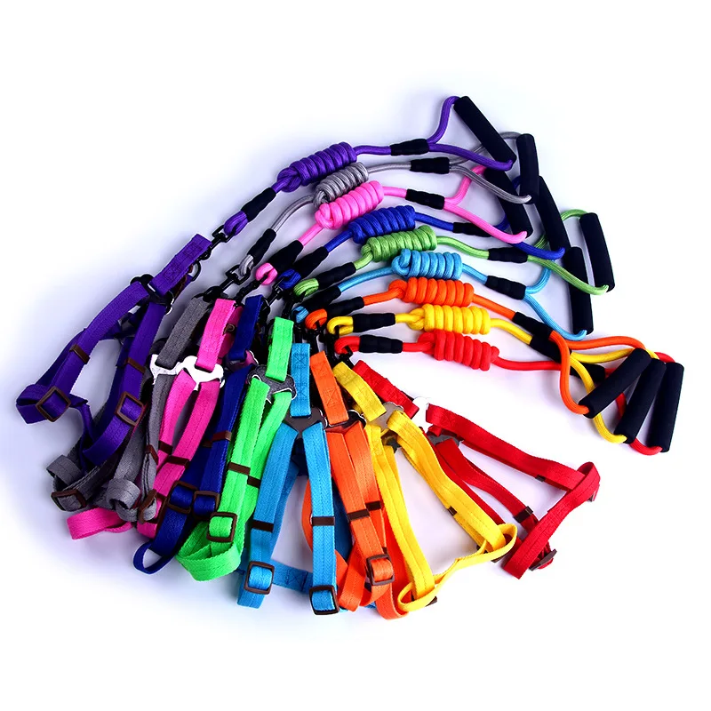 Fashion Sport Dog Chain Pulling coloful Pet Harness Collar For Small ...