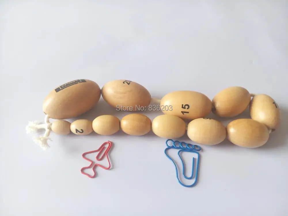 human skull anatomy skeleton anatomical Orchidometer Wood Orchid meter ...