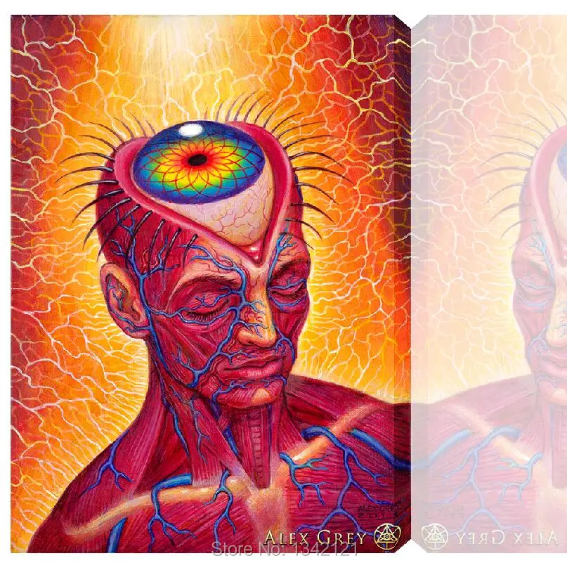 Alex grey 059 desktop Artwork Poster High quality picture Print ...