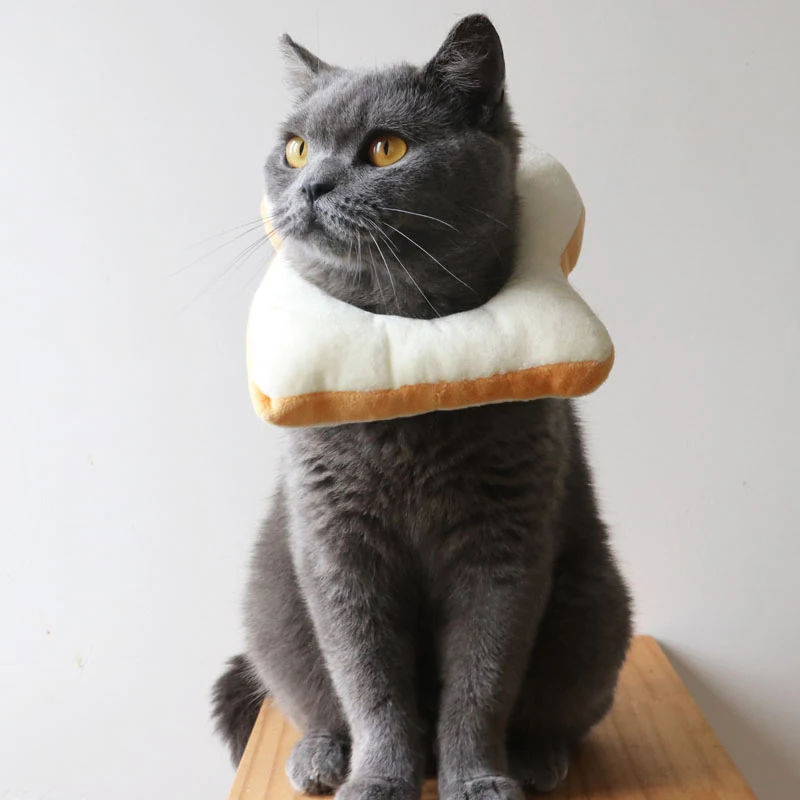 Cat Breading Costume