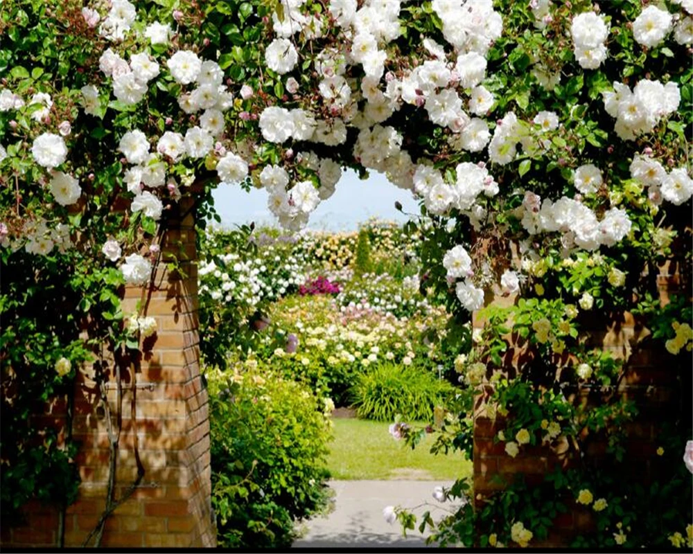 White Rose Garden Wallpaper