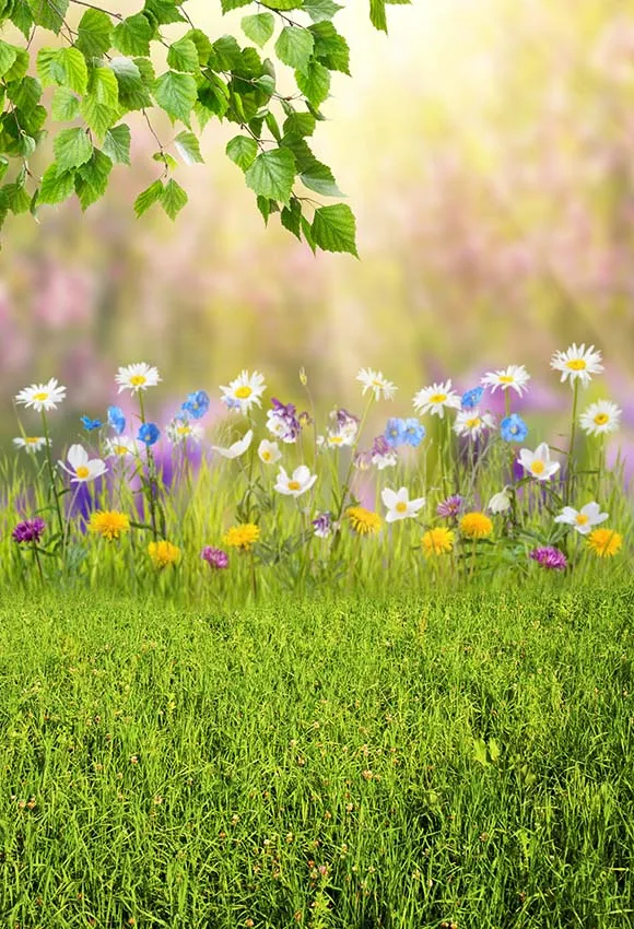 spring smell sunlight tree grass small flowers Photo Background ...