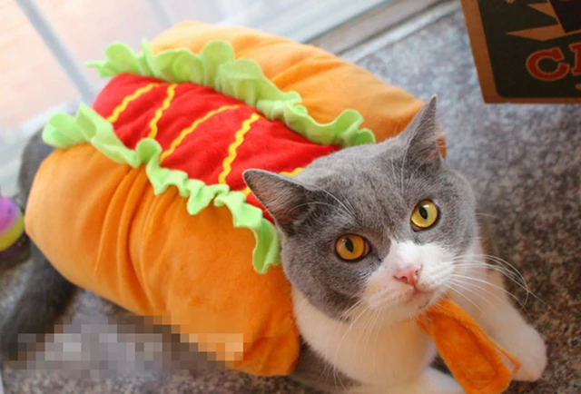Cat Breading Costume