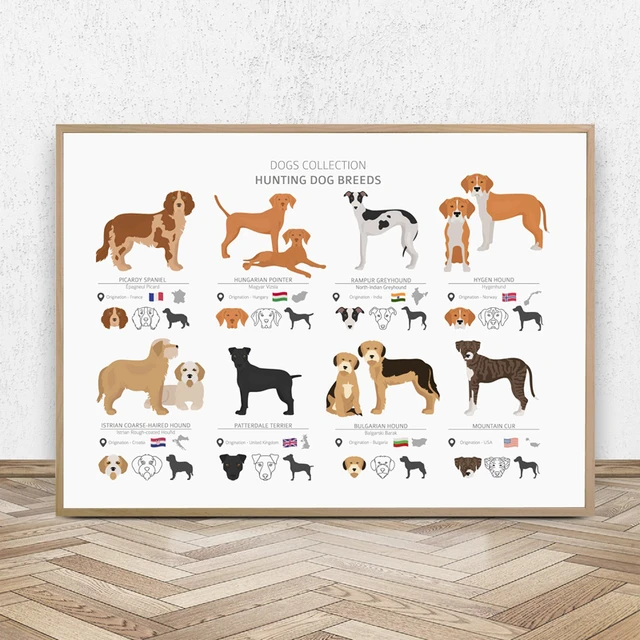 Dog Breeds Poster
