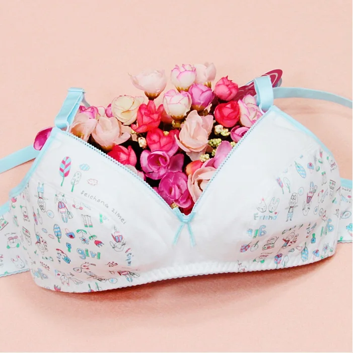 프로모션! Feichangzimei 십대 소녀 속옷 훈련 브래지어 12 18 살짜리 사춘기 소녀 KL752 W|training ...