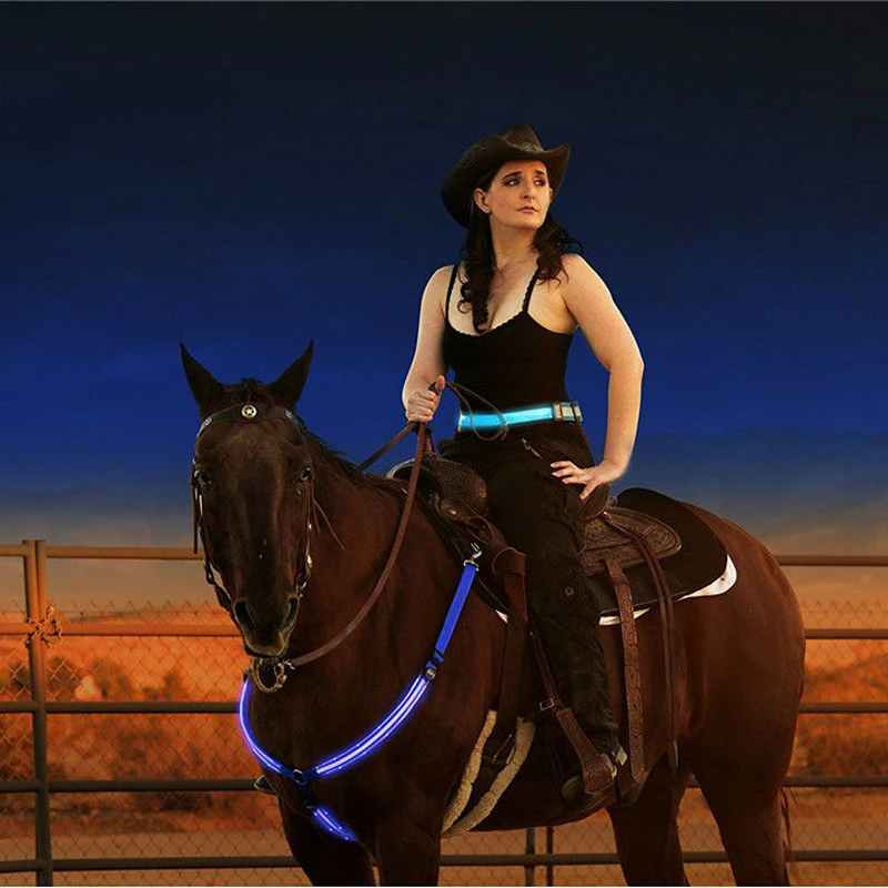 Horse Breastplate Dual LED Horse Harness Nylon Night Visible Horse ...