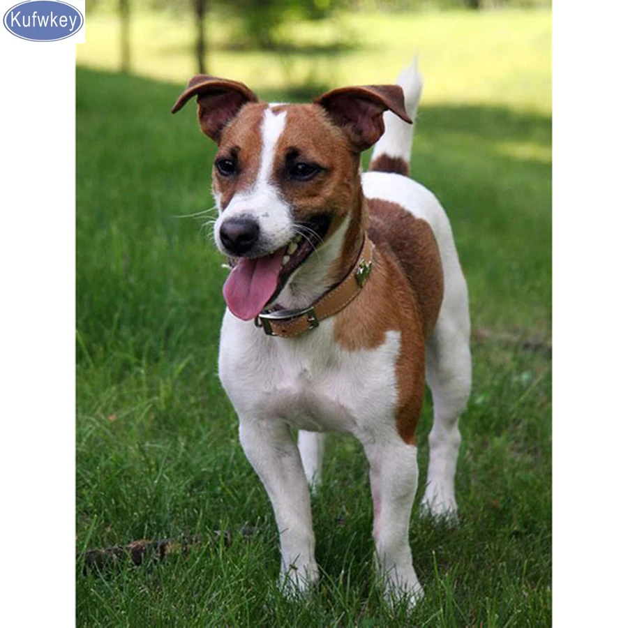 5d Diamond,Embroidery pet jack russel Full diy Diamond Painting Cross ...