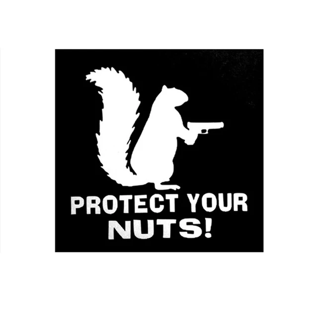 Funny Army Squirrel Pictures