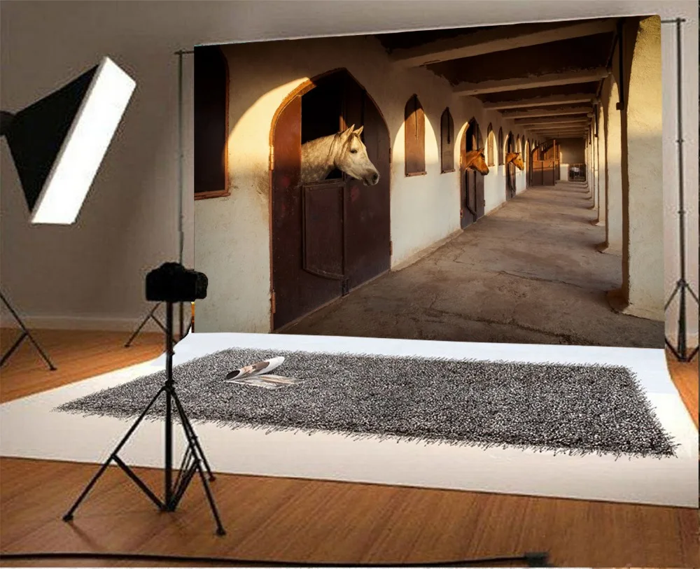 Laeacoo Twilight Rural Farm Horse Stable Corridor Scene Photography ...