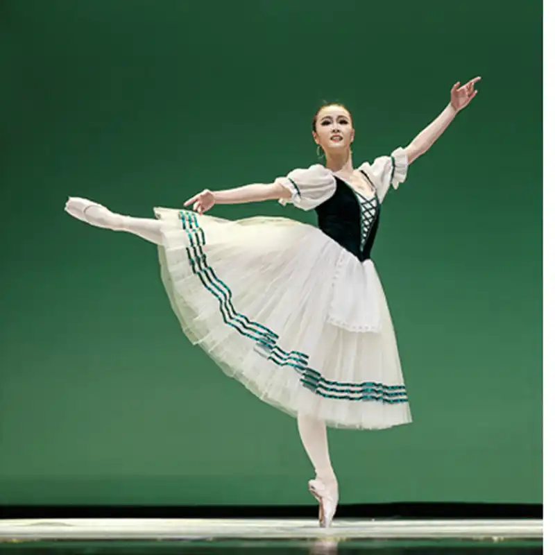 Classical Short Puff Sleeve Giselle Ballet Costume Adult Women Long Ballet Leotard Dress