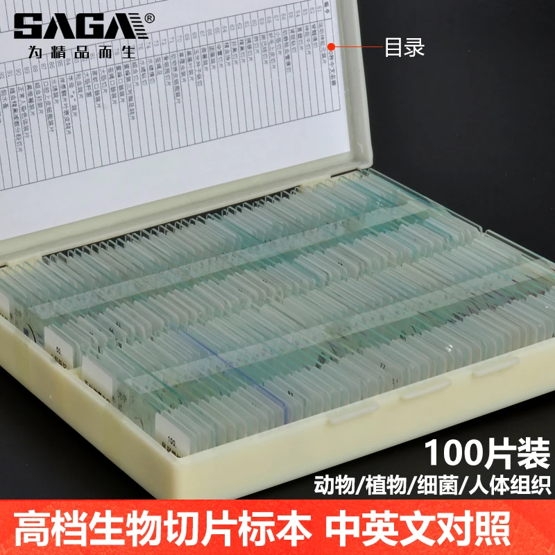 Biology 25/50/100/200 Glass Microscope Specimen Slides School and ...