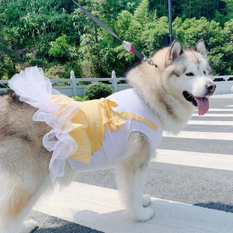 Summer Clothes For Big Dogs – Cute And Sweet Dress – DogMega.Com