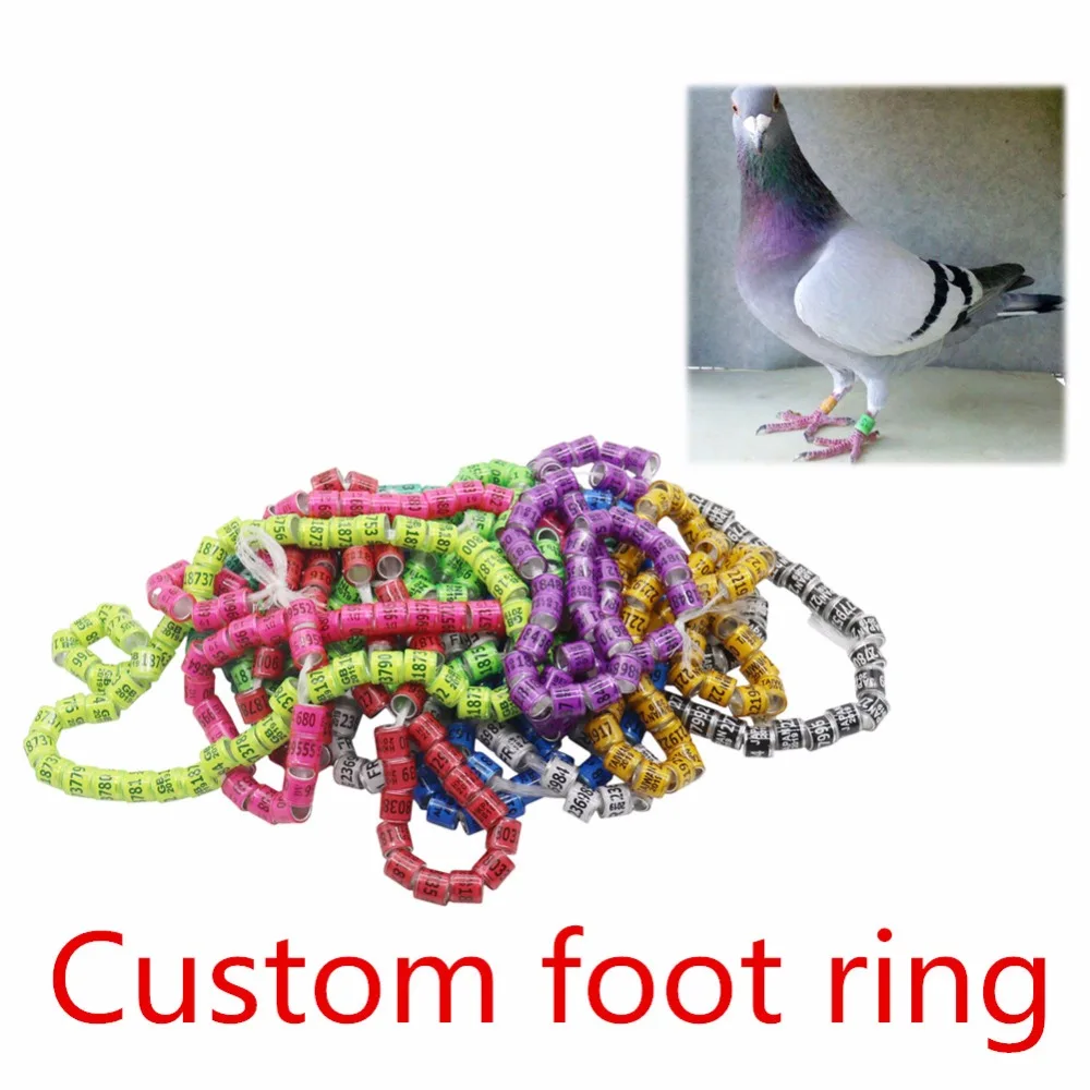 Pigeon Rings Digital Bird Foot | Pigeon 2 Rings Legs | Custom Pigeon ...