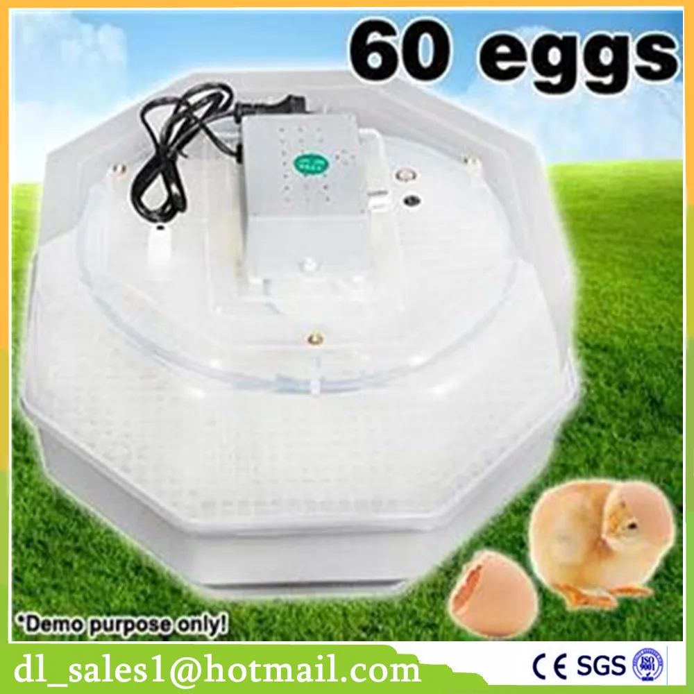 1 Piece Mini 60 Eggs New Incubator 110V / 220V Egg Incubator Chicken ...