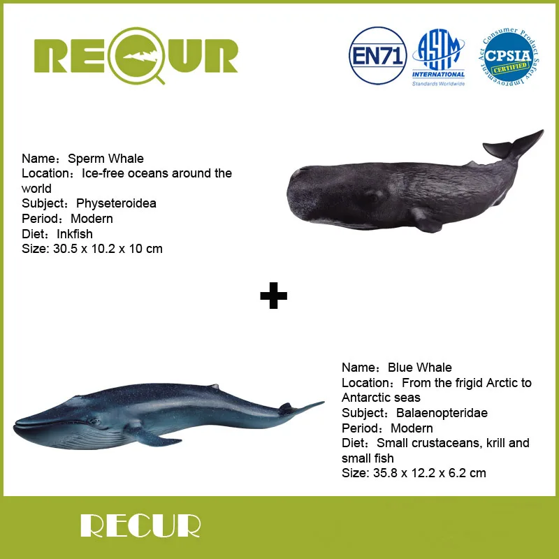 2 Teile/los Wiederholen Spielzeug blauwal + buckelwal Sea life Modell ...