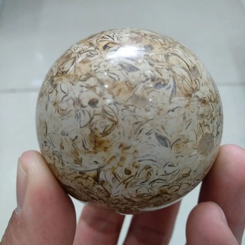 227g Awesome! Dinosaur Bone Crystal Ball Sphere Madagascar - Stones ...