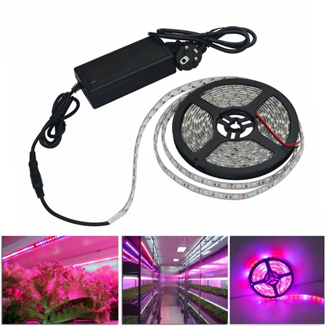 LED Red and Blue Grow Strip Lights - Growing in My Box