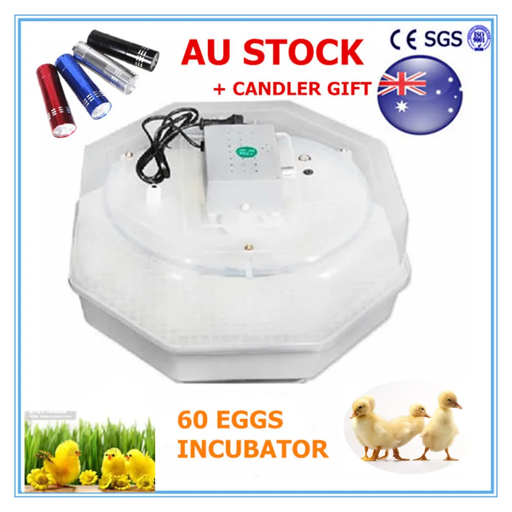 Best price 60 eggs incubator household egg hatching machine for sale-in ...